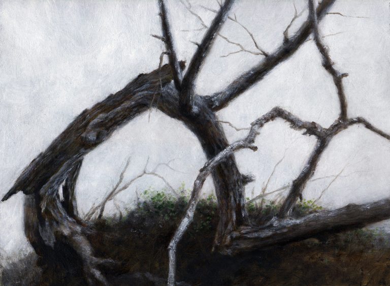 Windham Fine Arts – Windham Fine Arts is a contemporary art gallery ...